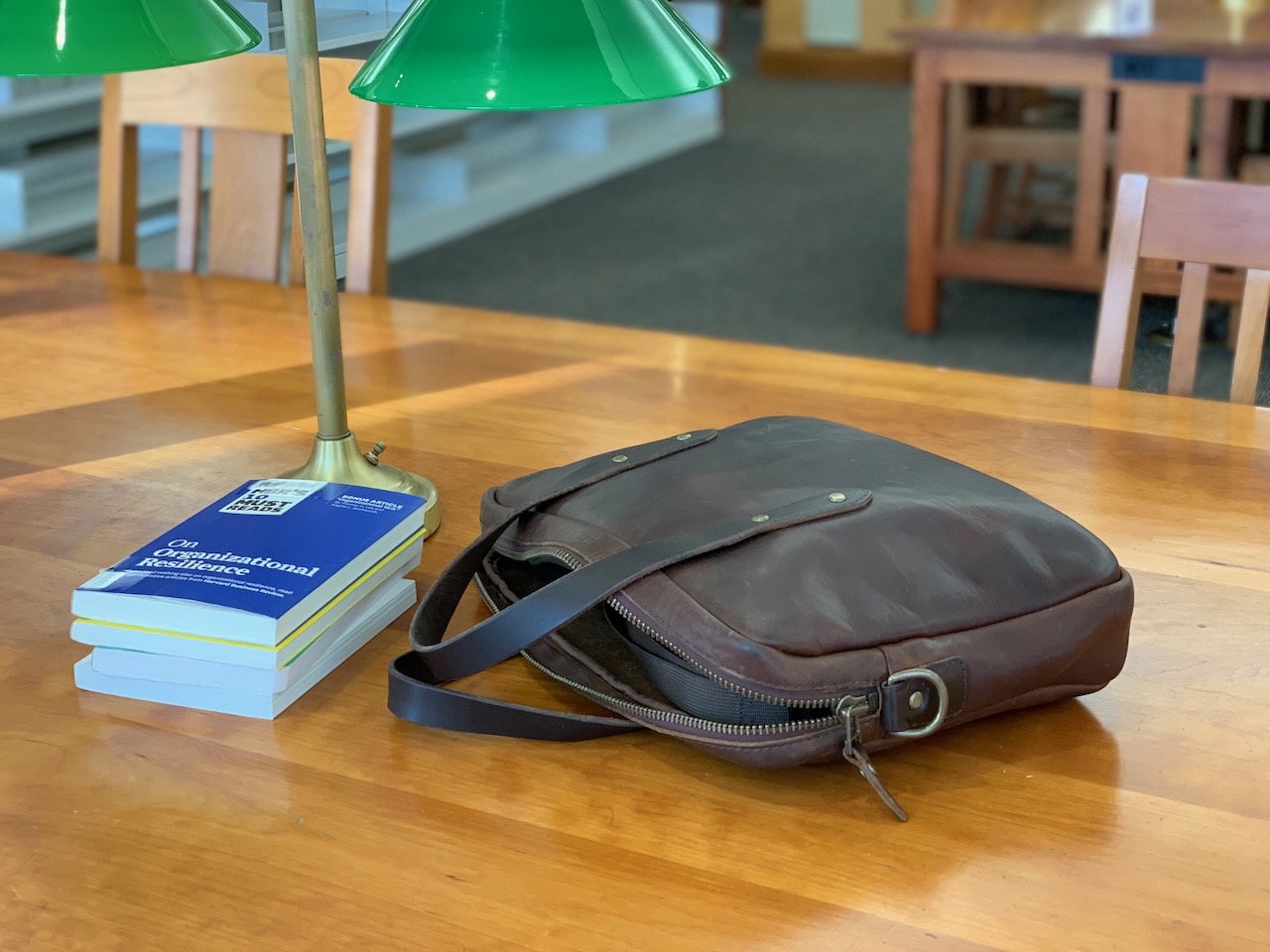 Horween Briefcase Chromexcel #8